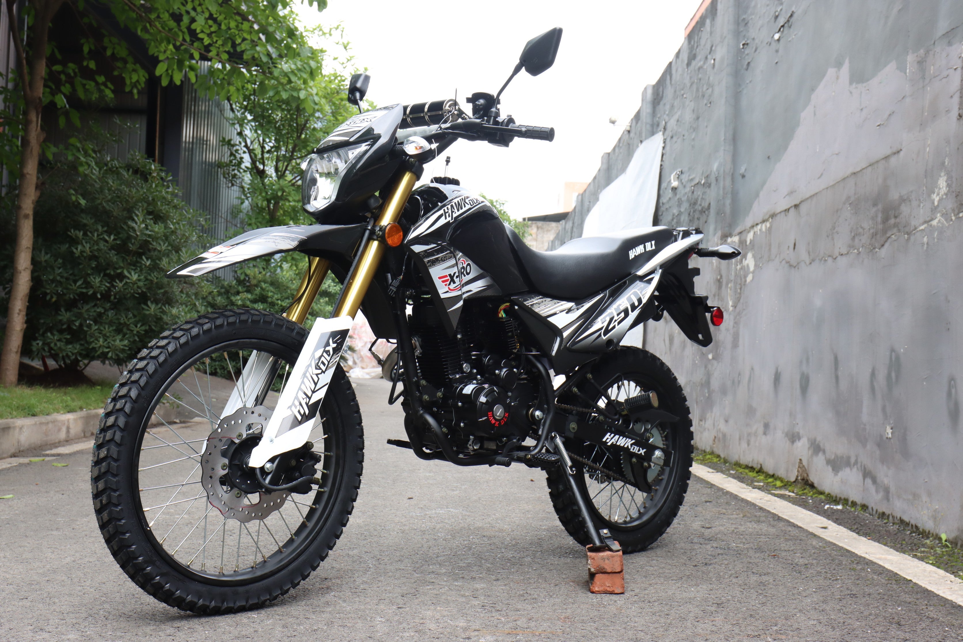 Free Shipping! X-PRO Hawk DLX 250 EFI Fuel Injection Motorcycle with 5 ...